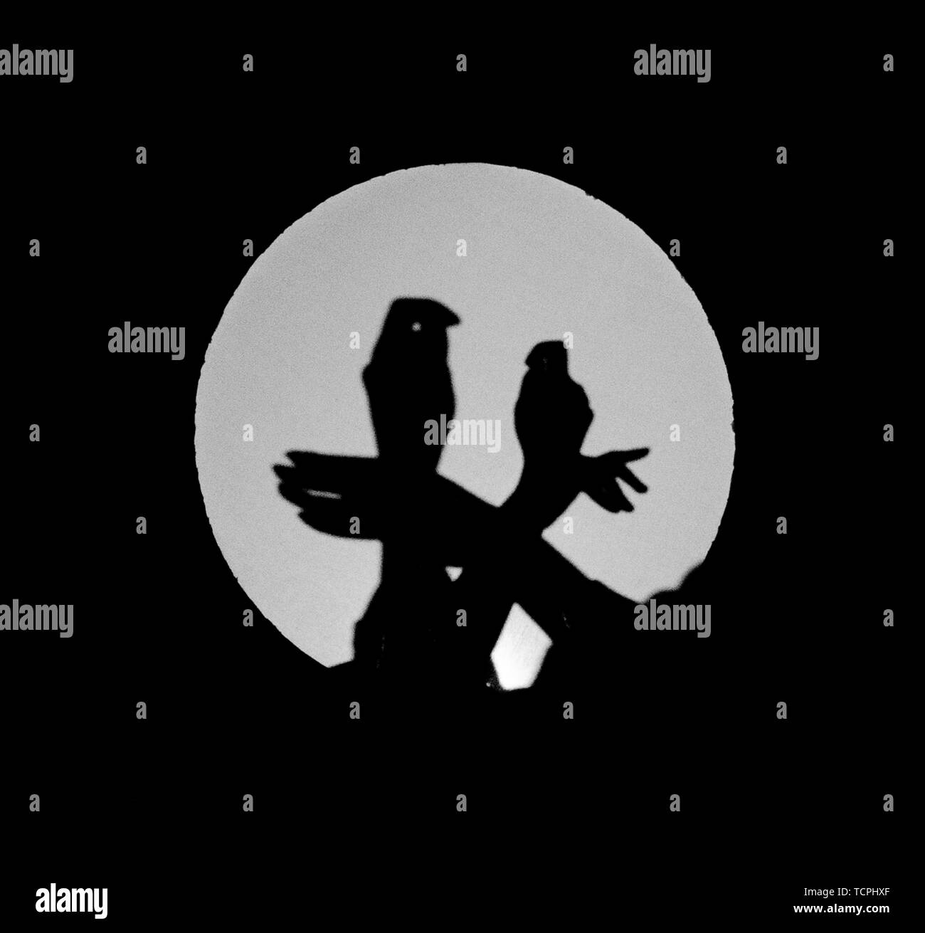 Hand shadow bird hi-res stock photography and images - Alamy