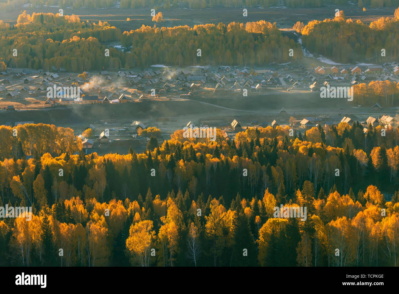 Grasses and kanas hi-res stock photography and images - Alamy