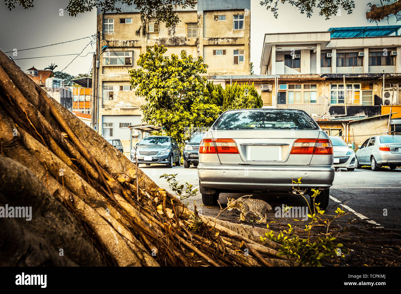 Car on parking ground Stock Photo - Alamy