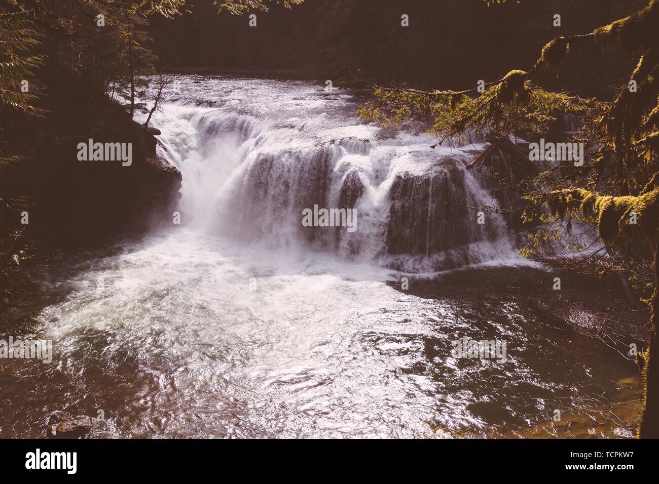 Beautiful river with a strong current in a forest Stock Photo - Alamy