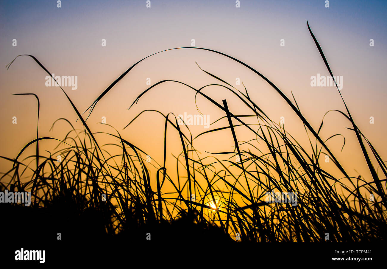 Lakes and moon comfortable weather hi-res stock photography and images ...