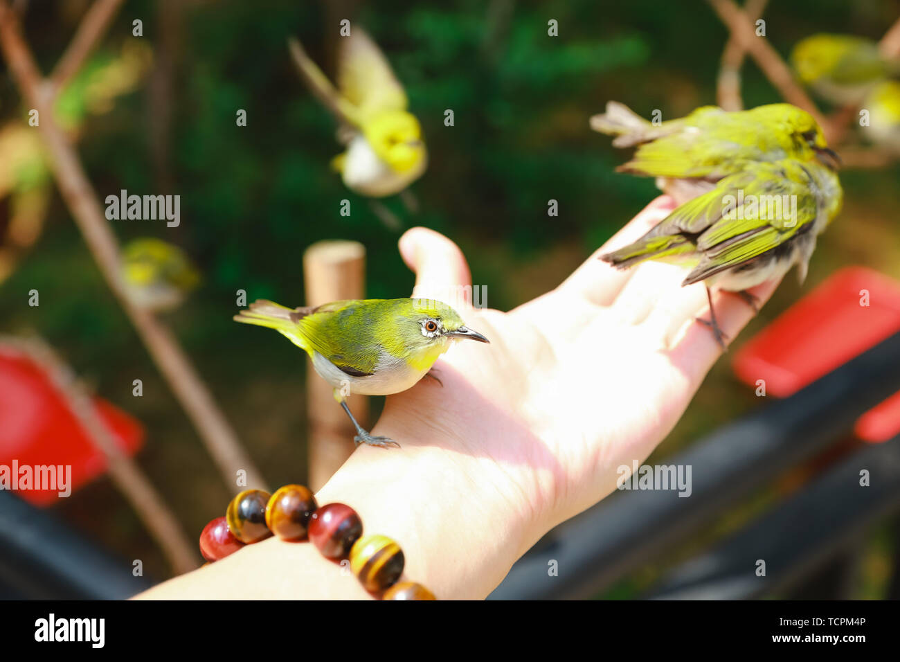 Intimate photos of lovesick interacting with people Stock Photo - Alamy