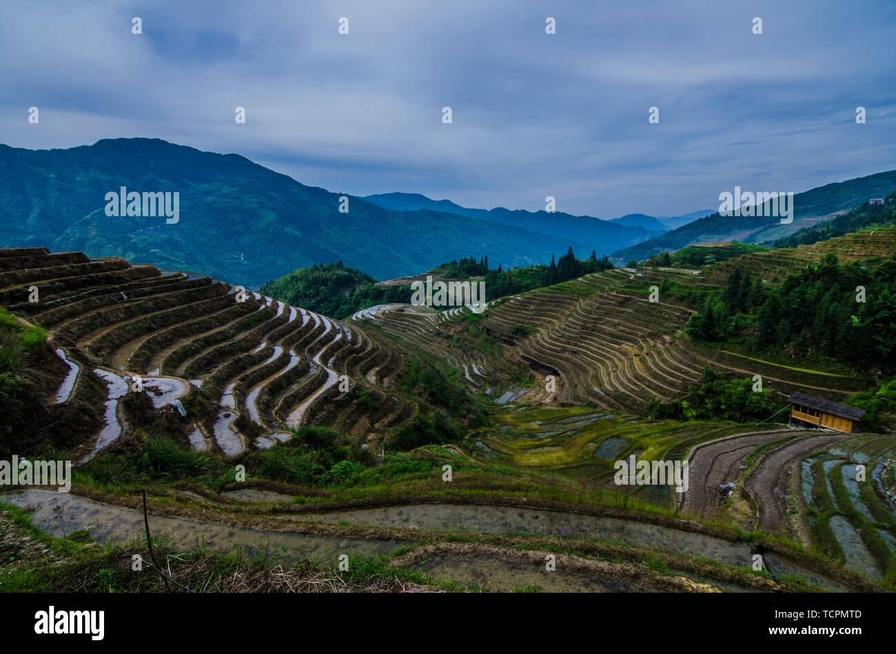 Dragon fields hi-res stock photography and images - Alamy