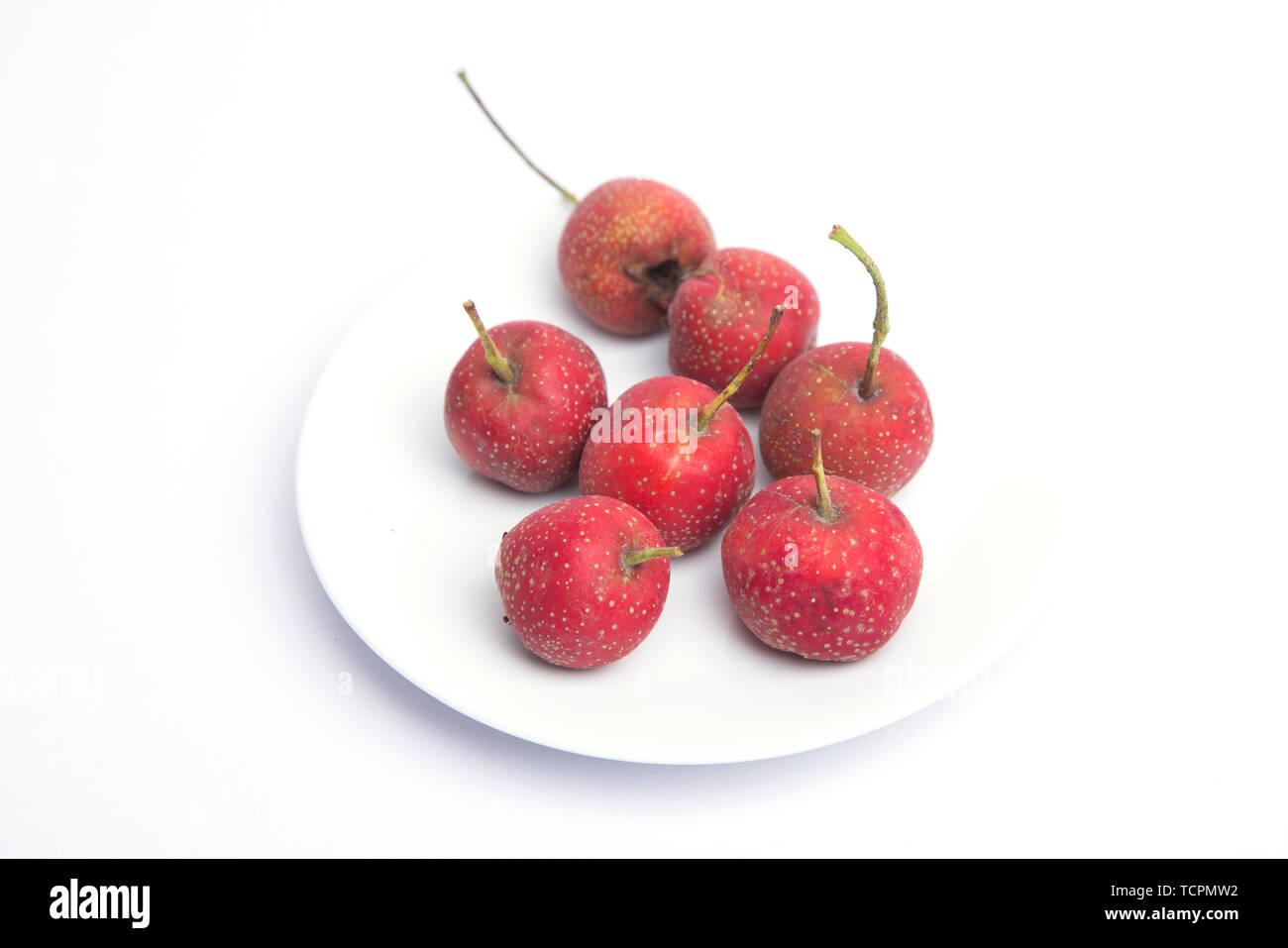 Real hawthorn hi-res stock photography and images - Alamy