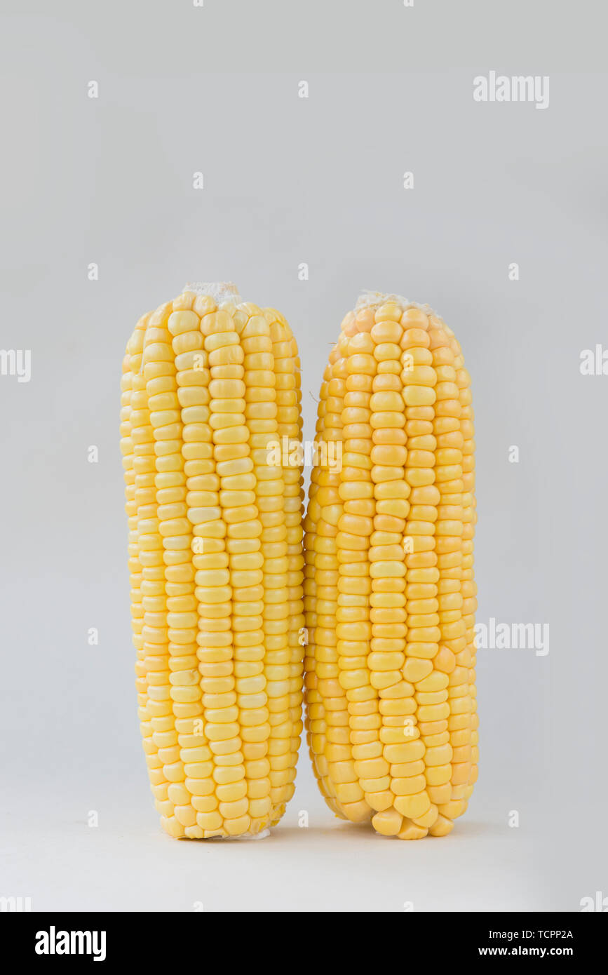 Corn cross section hi-res stock photography and images - Alamy