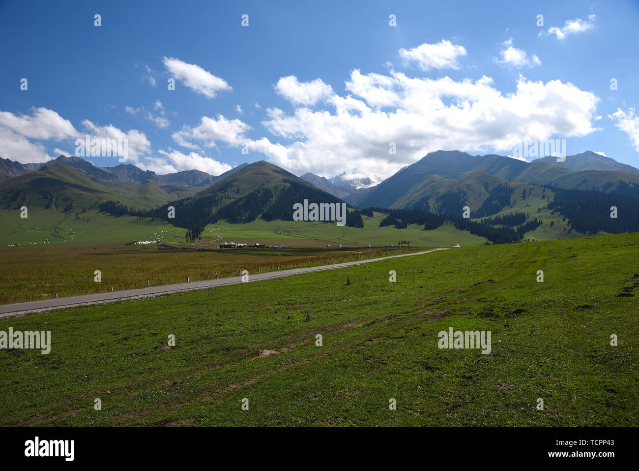 Xinjiang narati prairie hi-res stock photography and images - Alamy