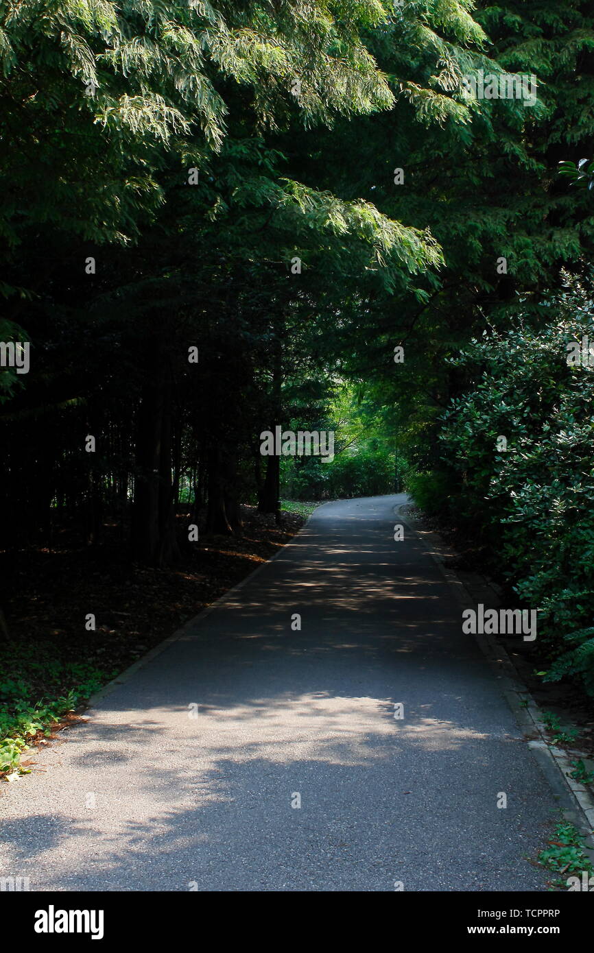 Binjiang park hi-res stock photography and images - Alamy