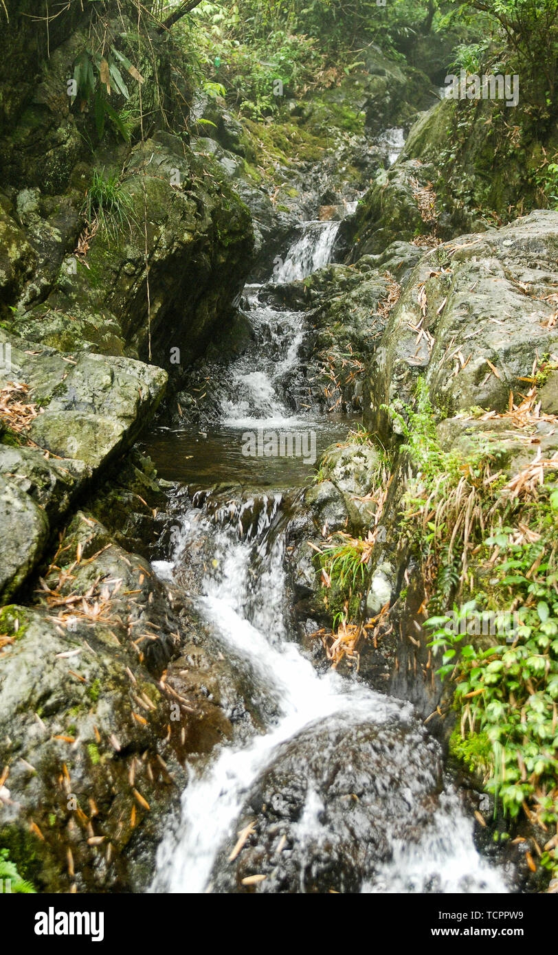 A stream from the top down Stock Photo - Alamy