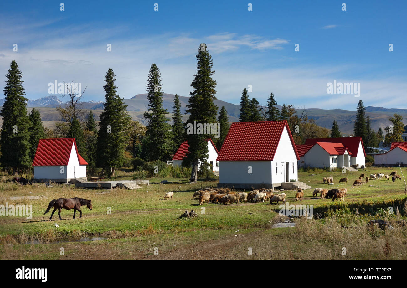 Narati prairie pasture Stock Photo - Alamy