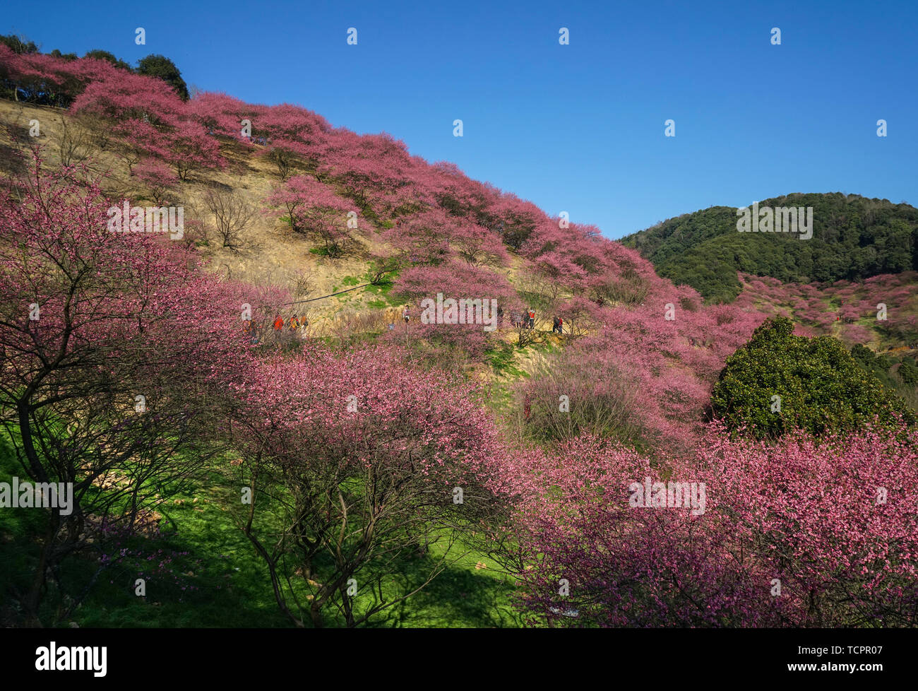 Meishan village hi-res stock photography and images - Alamy