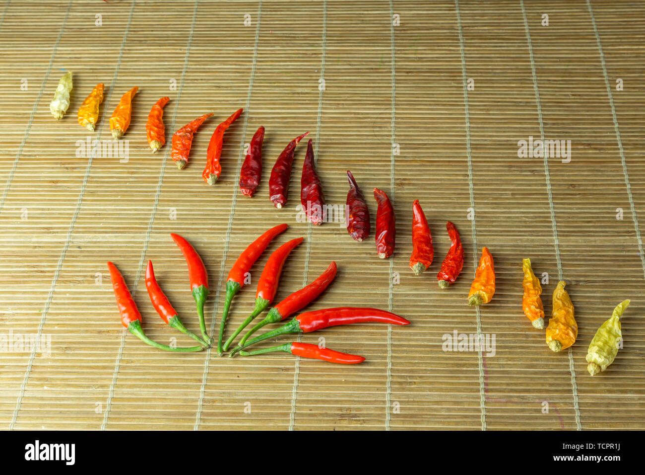 Multiple chili still life close-up Stock Photo - Alamy