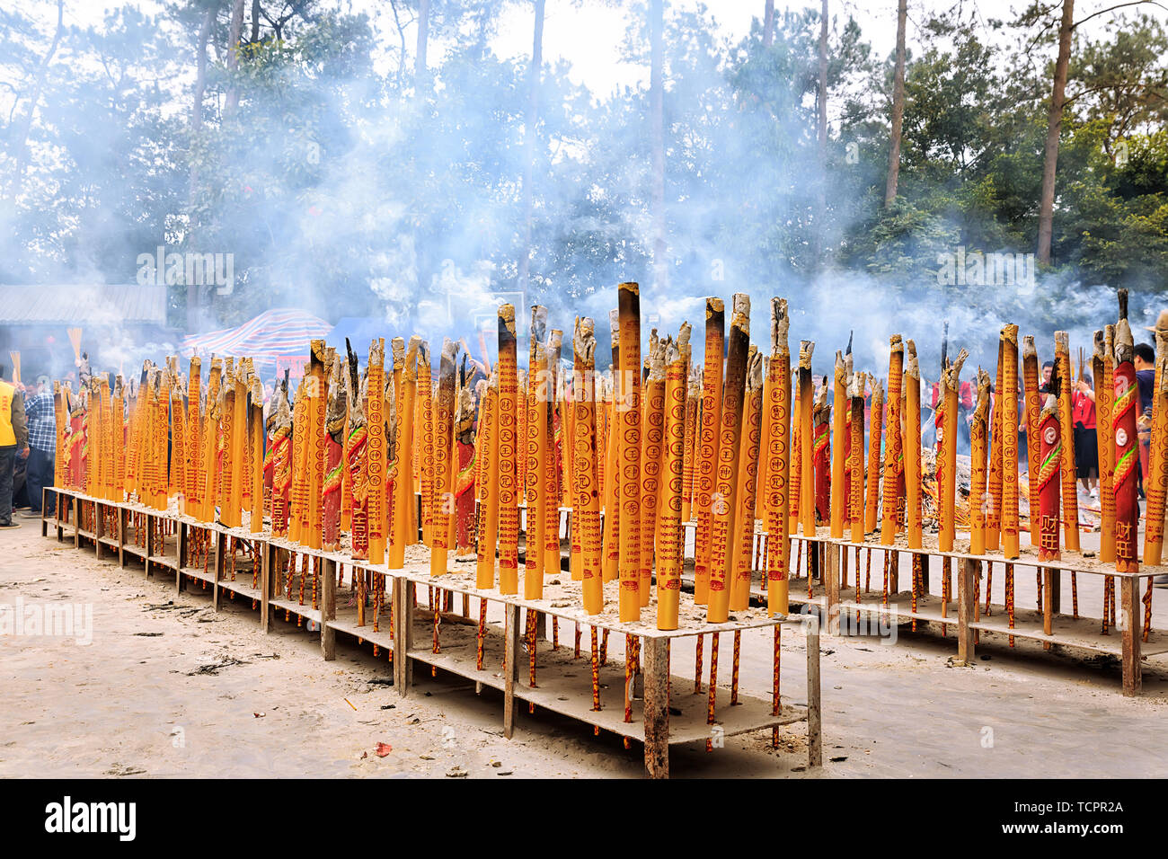 Temple fairs, Chinese New Year, blessings, incense, tulips, food ...