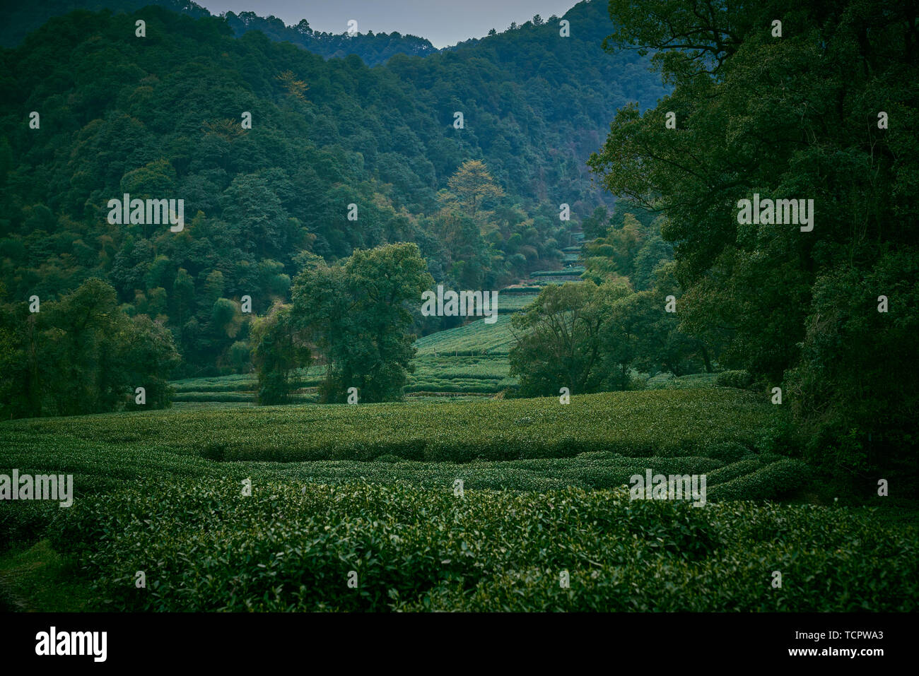 Meijiawu hi-res stock photography and images - Alamy