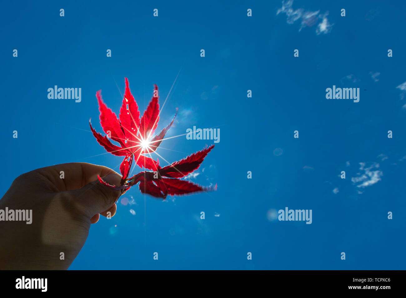 Portrait Scenery Emotions Stock Photo - Alamy