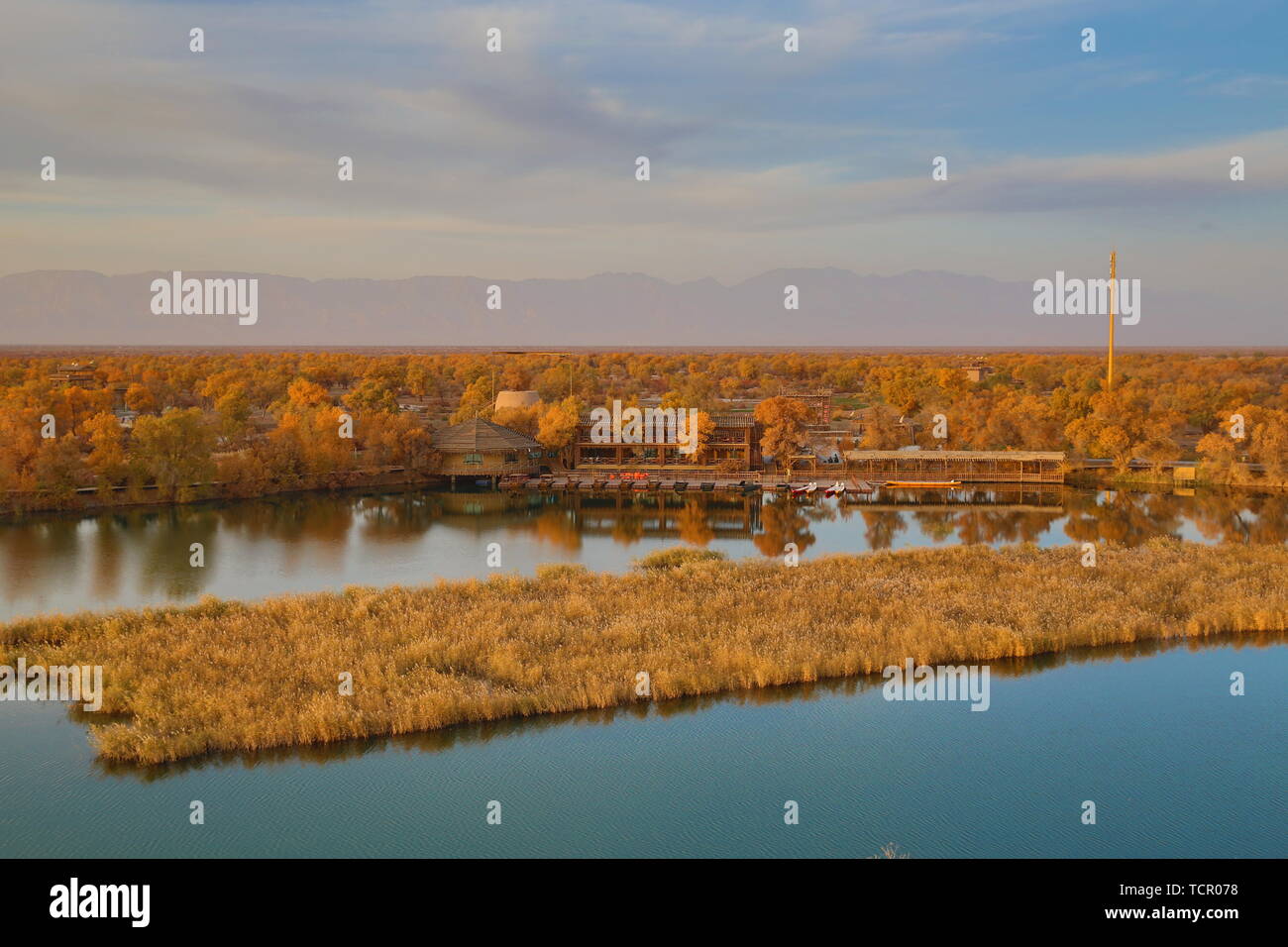 Red Sea Scenic Area, Golden Poplar, Hu Yang, Golden Yellow, Bachu ...