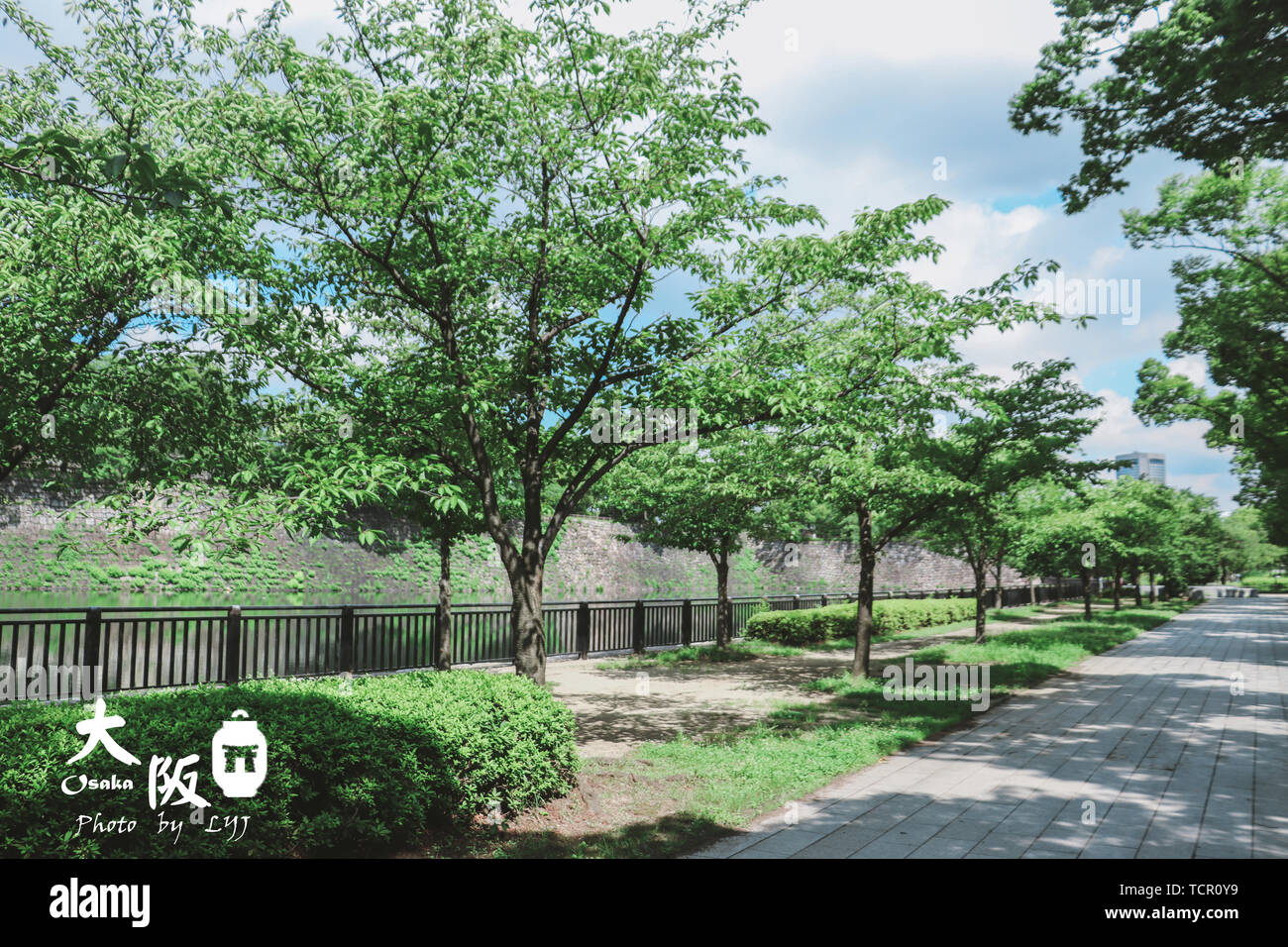 Road guide to trees no one landscape landscape tree leaves hi-res stock ...