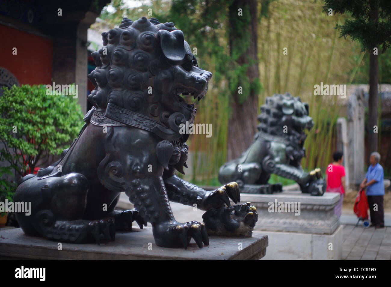 Shi Lion, Fayuan Temple, Beijing Stock Photo - Alamy