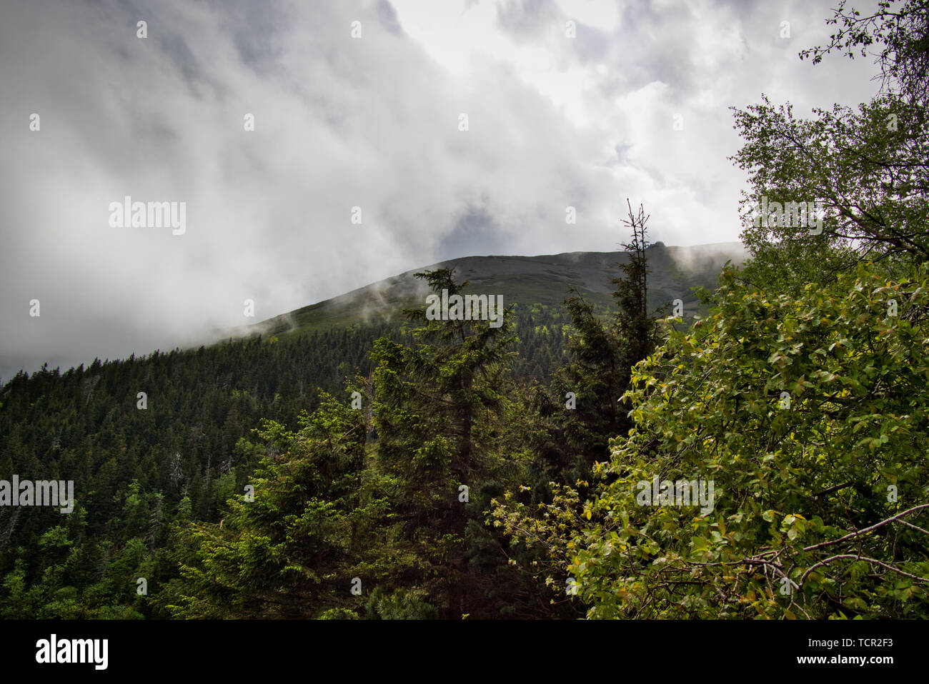View of the Sniezka Stock Photo - Alamy