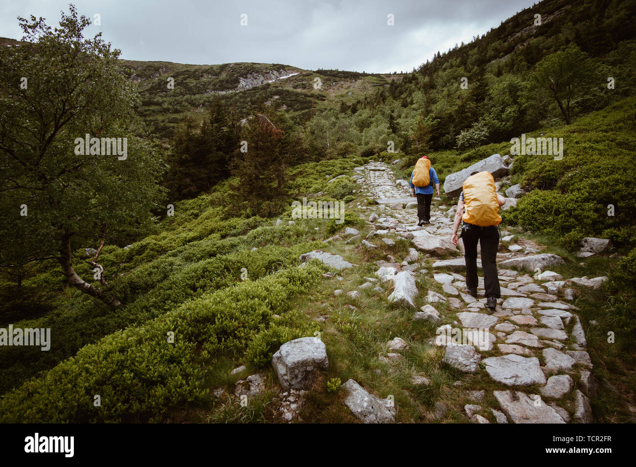 Scenic spring landscape of Giant Mountains Stock Photo - Alamy
