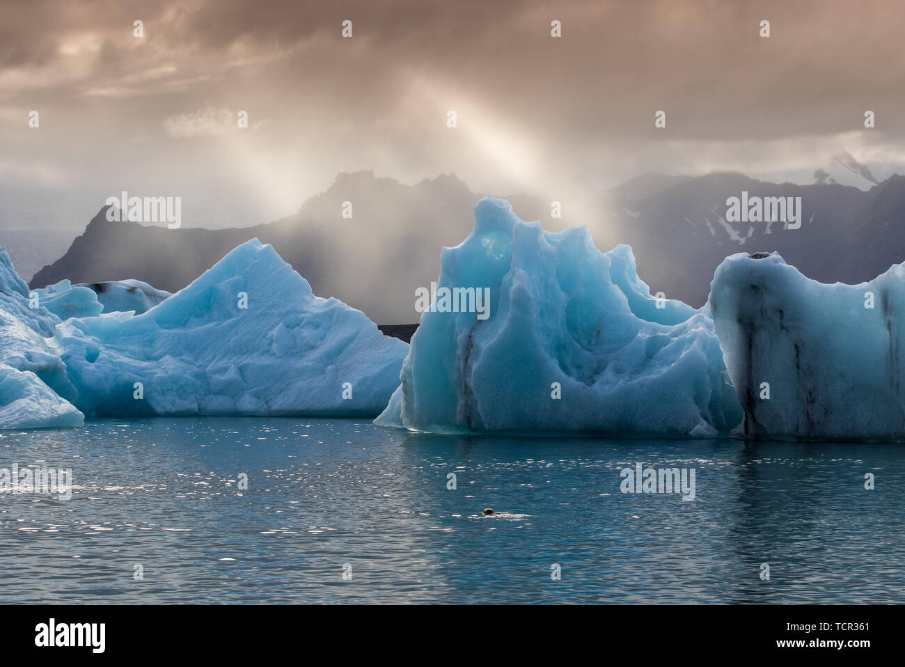 Iceland, Jokulsarlon lagoon, Beautiful cold landscape picture of ...