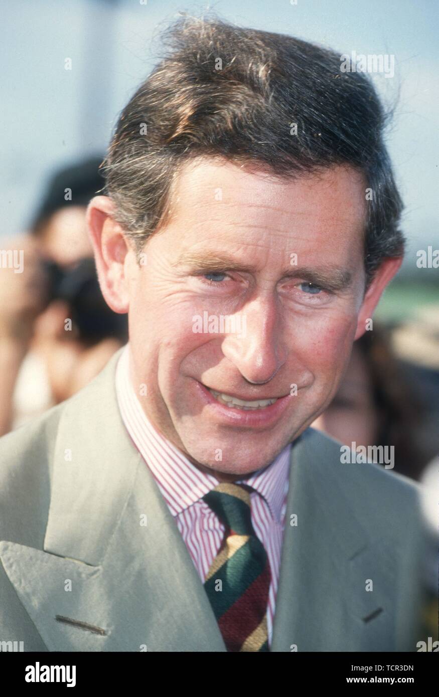 Prince Charles 1994 Michael Ferguson/PHOTOlink.net Stock Photo - Alamy