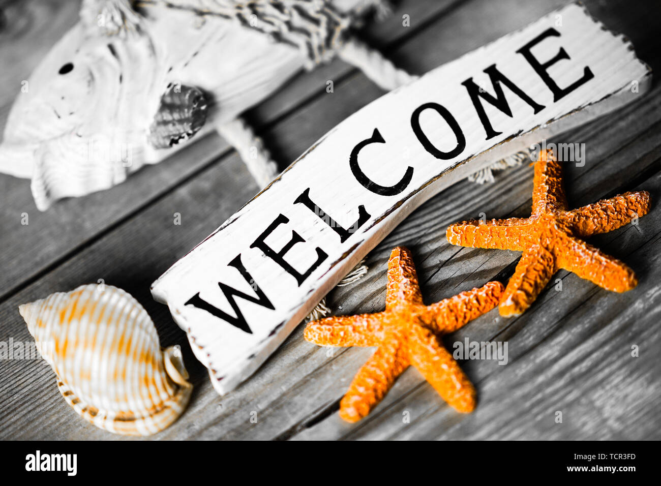Wooden gray background with two orange sea stars, seashell and white ...