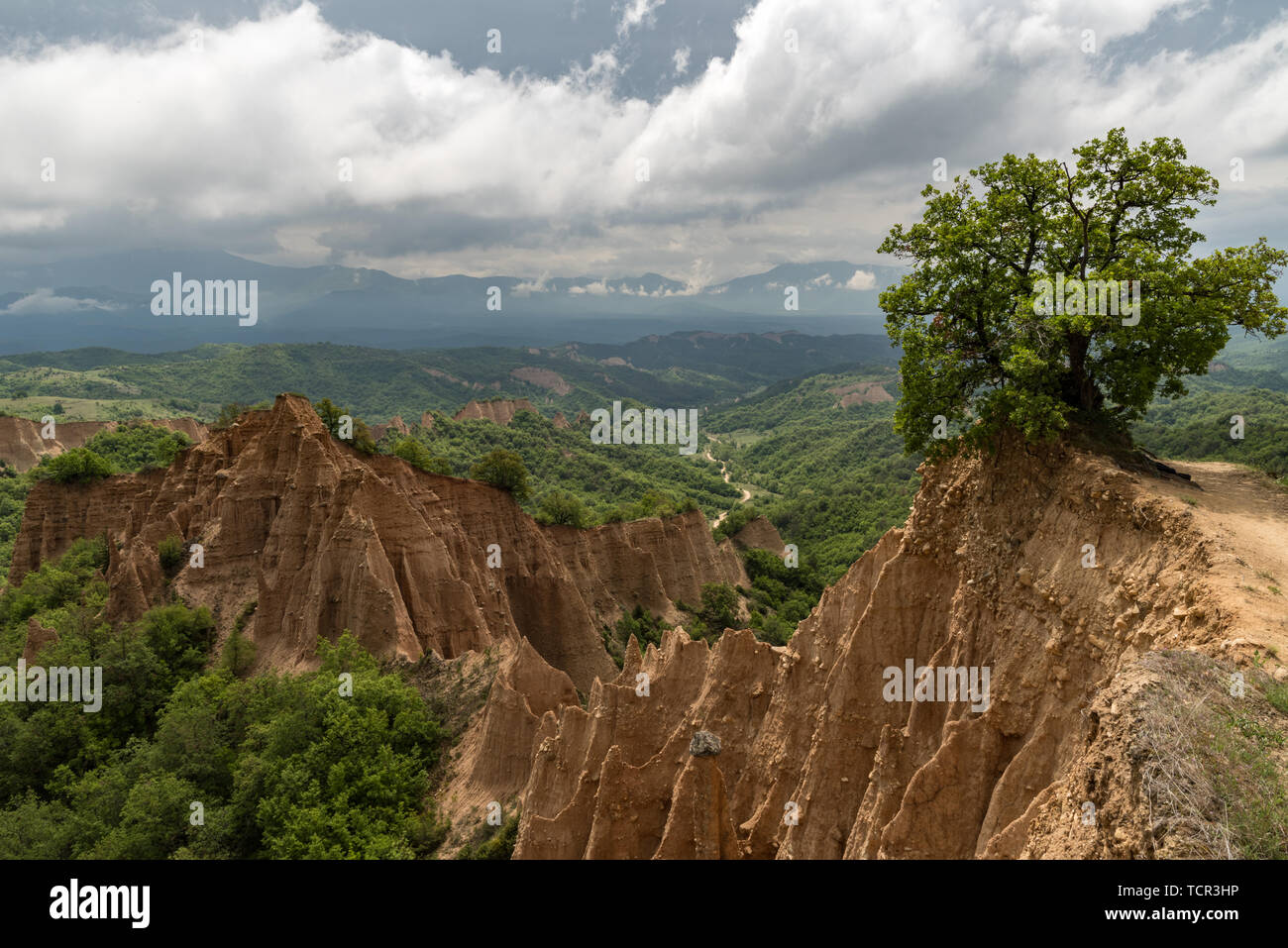 Rozhen pyramids -a unique pyramid shaped mountains cliffs in Bulgaria ...