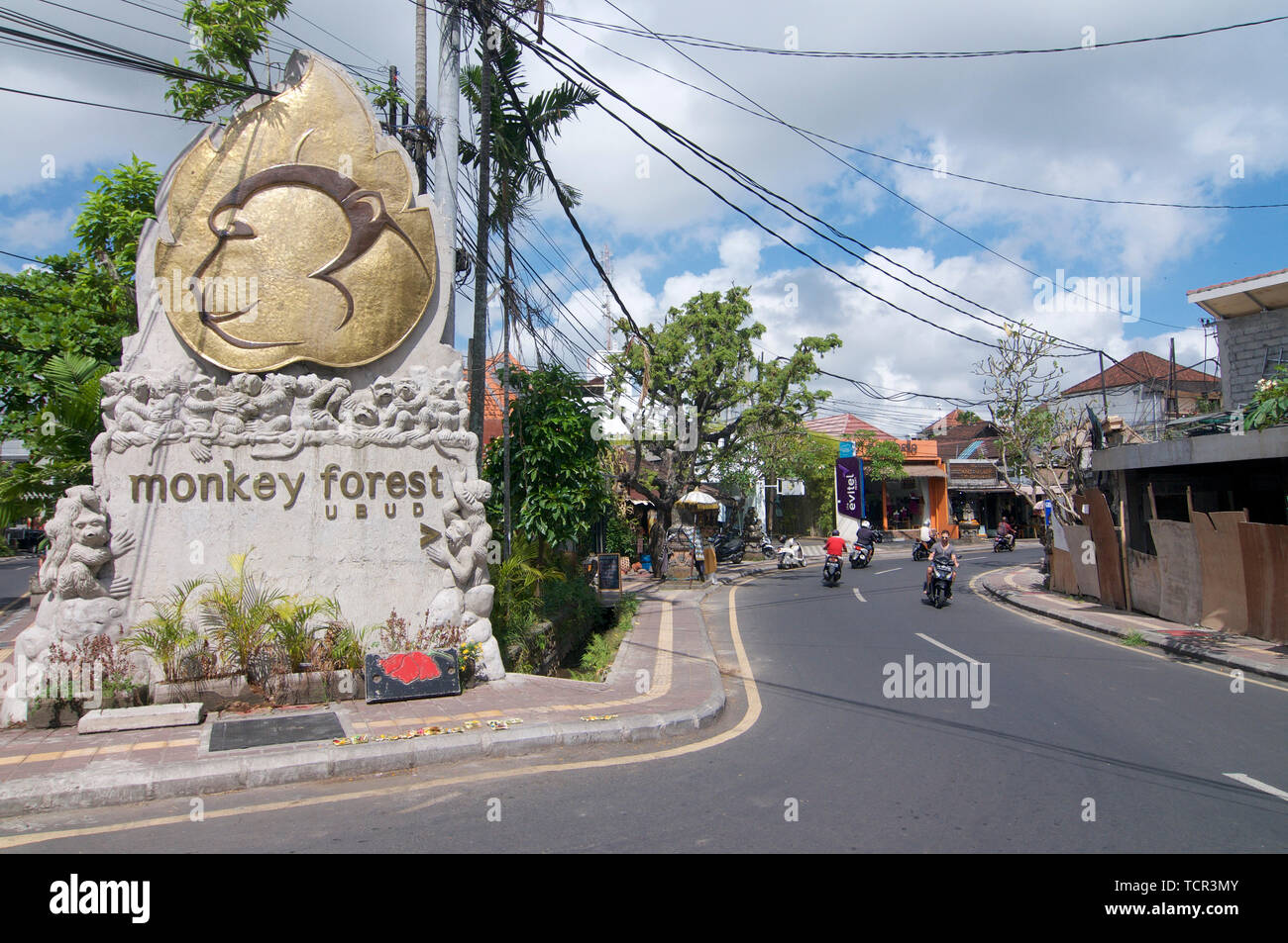 Ubud, Bali, Indonesia - 23th May 2019 : Picture of the Ubud Monkey ...