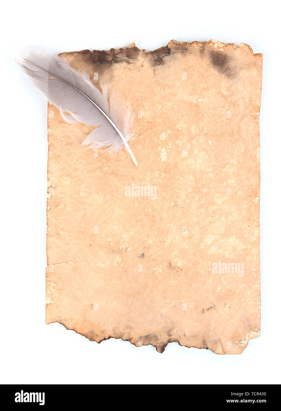 Old paper isolated on white Stock Photo - Alamy