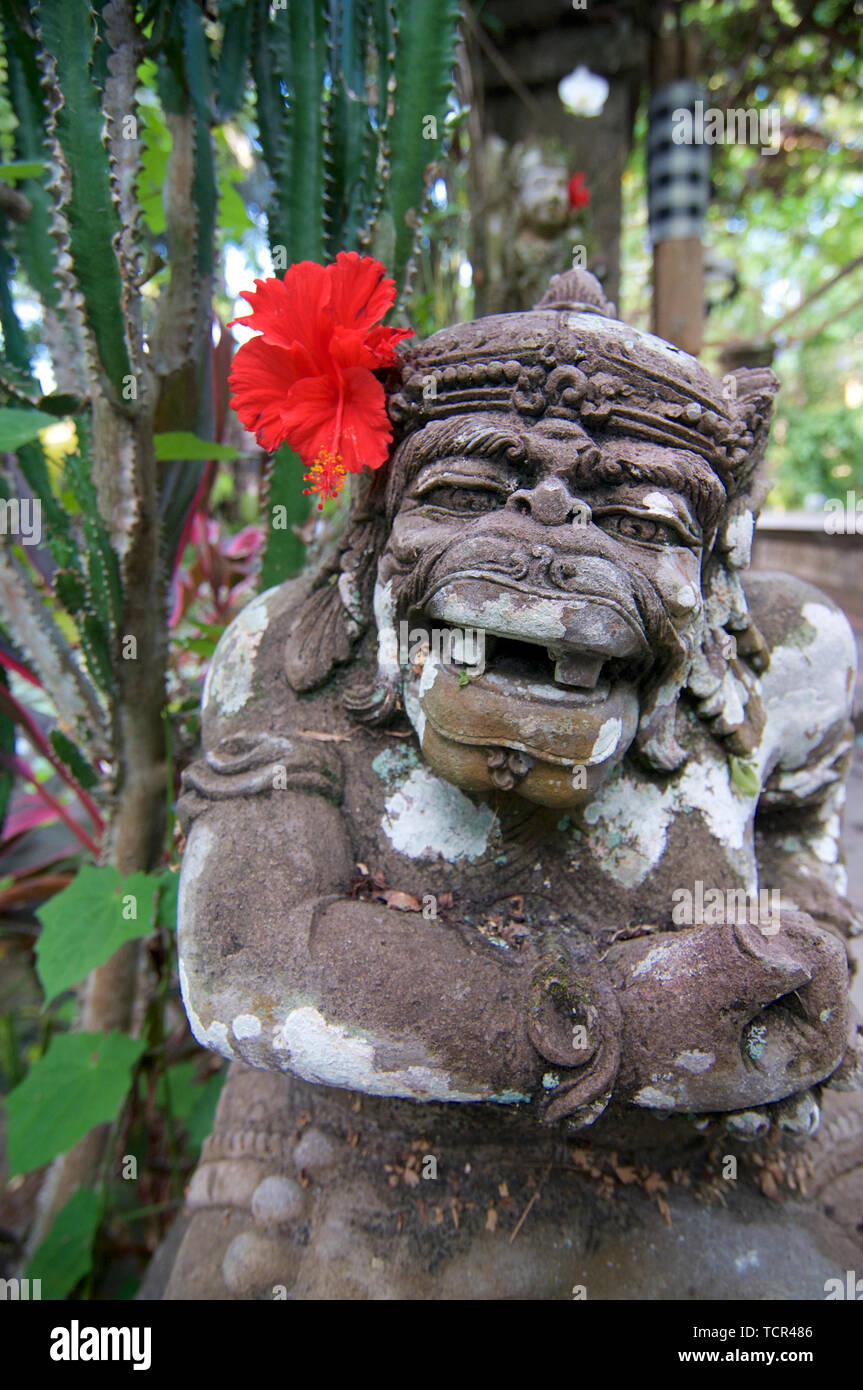Typical Balinese Dvarapala stone statue with a red hibiscus flower ...