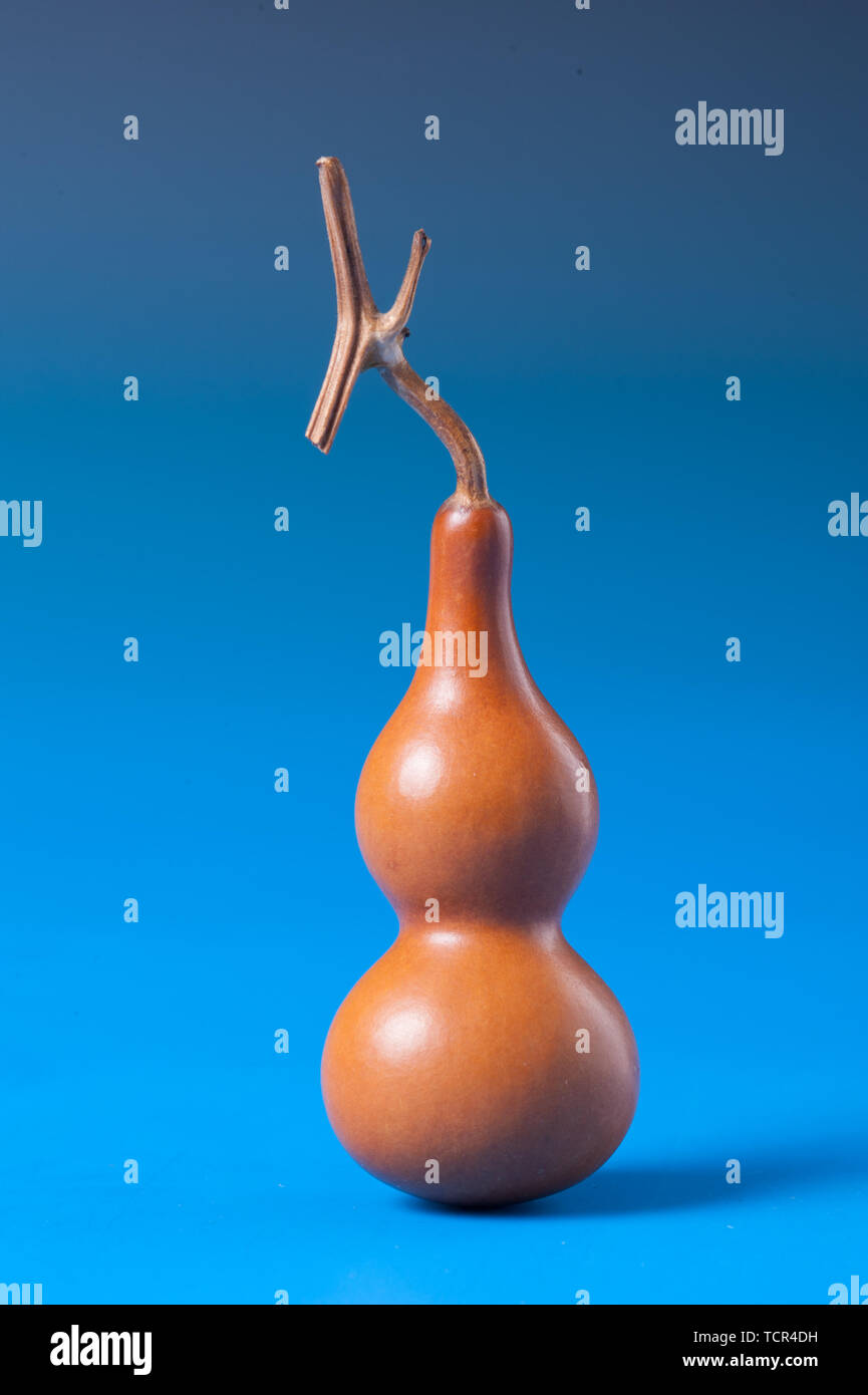 Hand twist gourd hi-res stock photography and images - Alamy