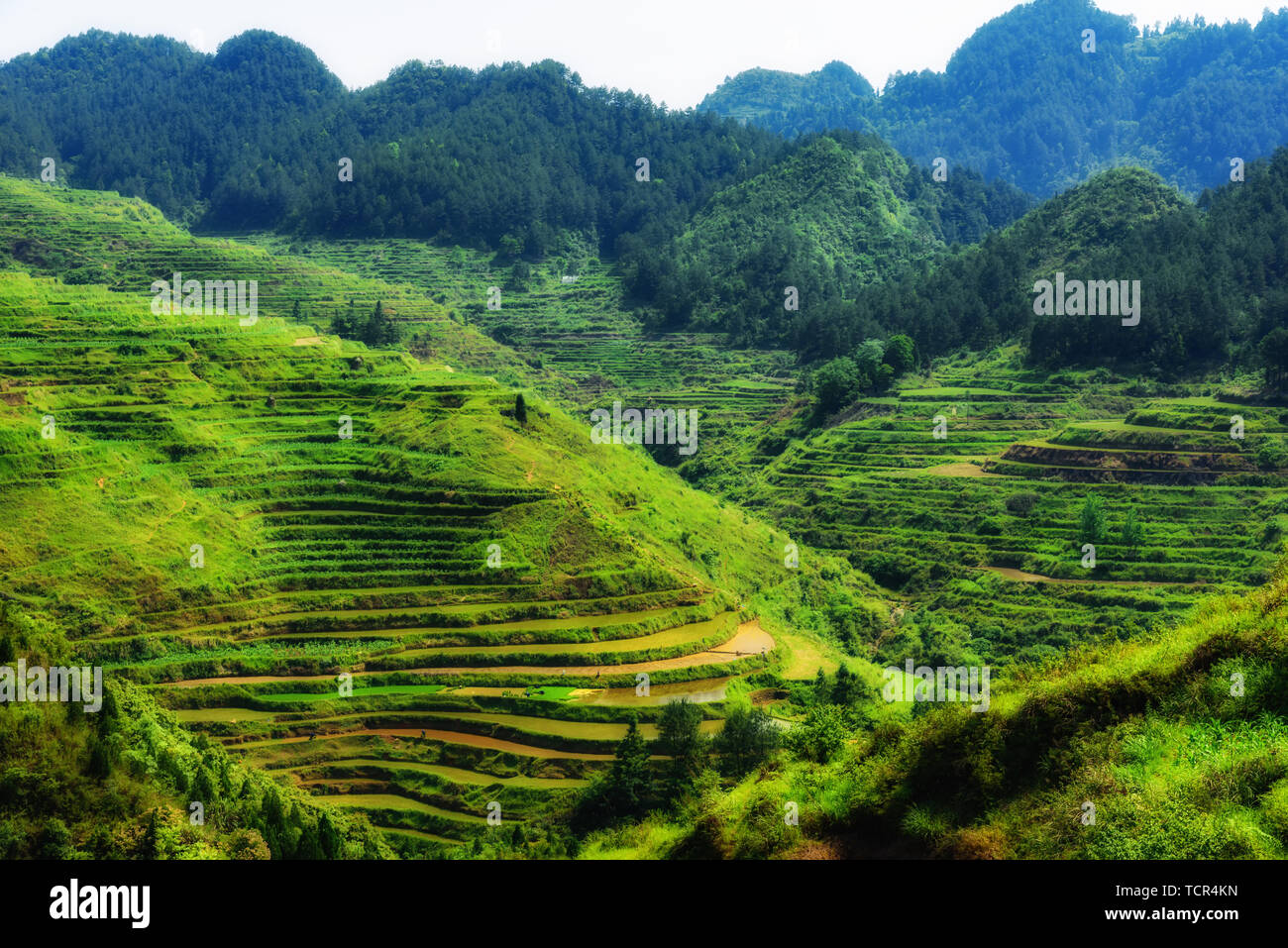 Seven hole bridge hi-res stock photography and images - Alamy