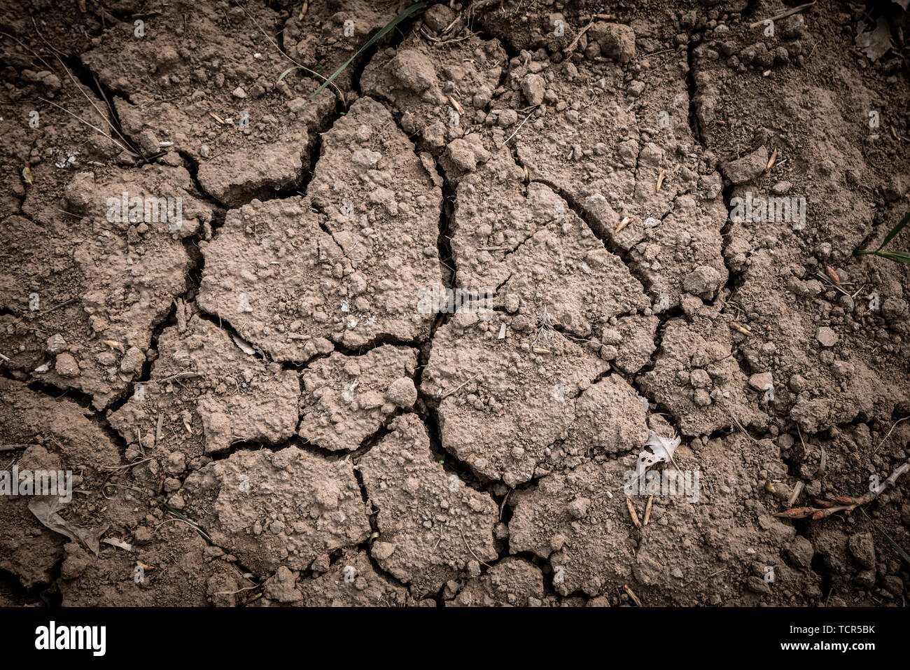 Dry, barren ground Stock Photo - Alamy