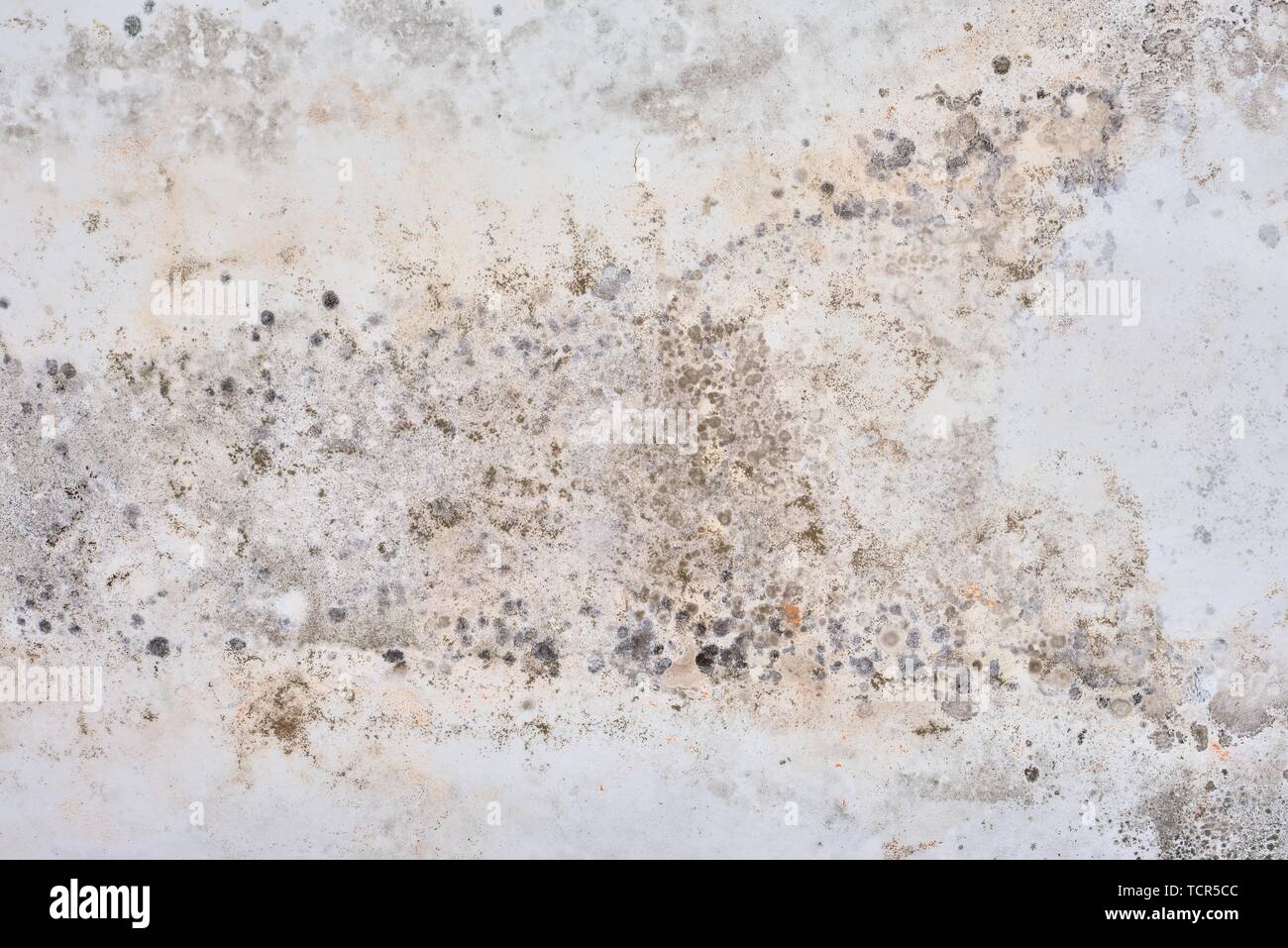 Mouldy fabric texture hi-res stock photography and images - Alamy