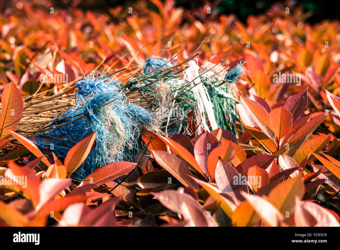 The art of broom Stock Photo - Alamy