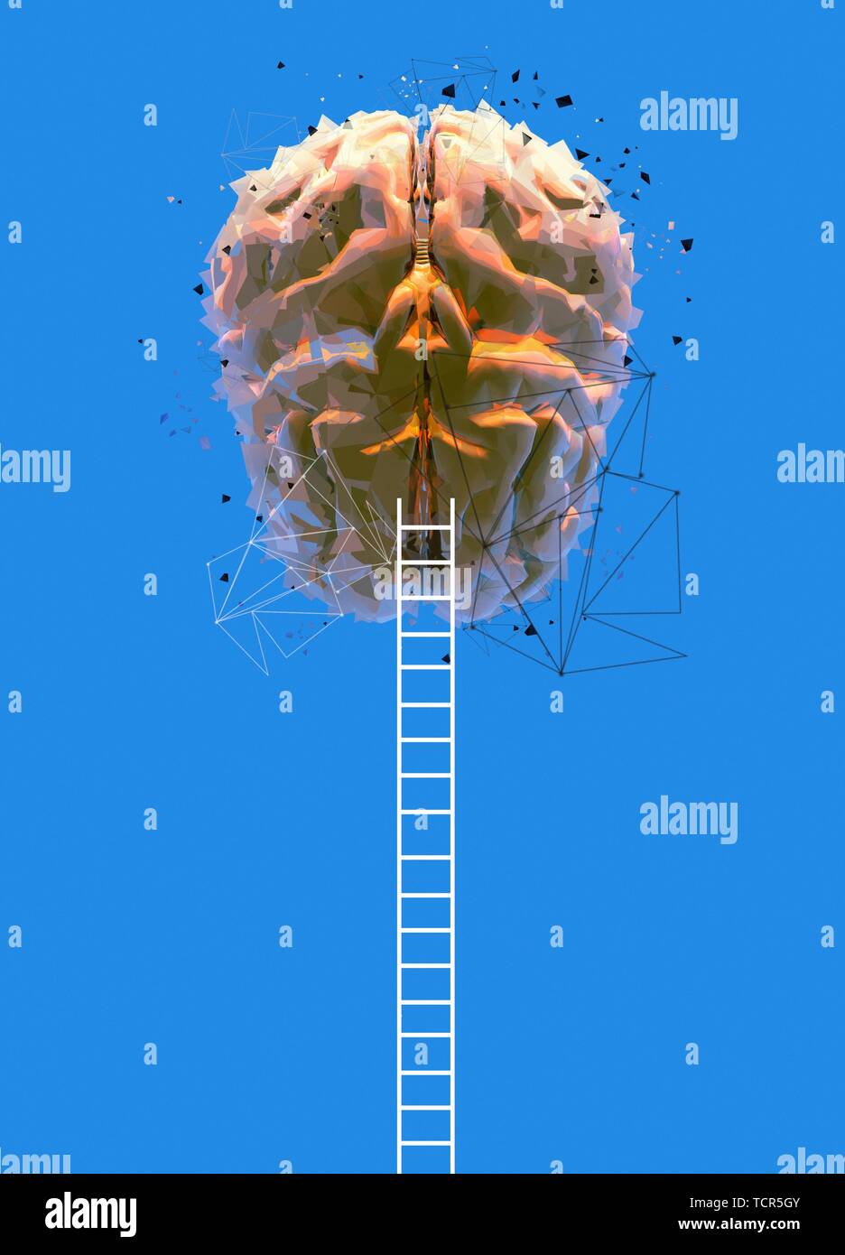 Human brain and ladders, illustration Stock Photo - Alamy