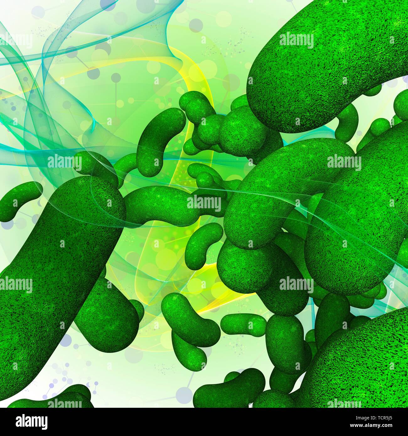 Green bacteria, illustration Stock Photo - Alamy