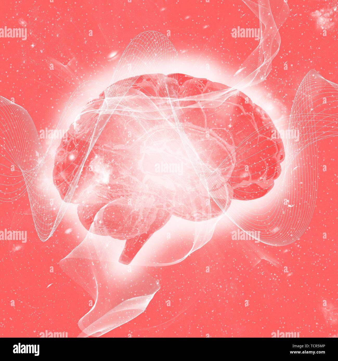 Human brain, illustration Stock Photo - Alamy