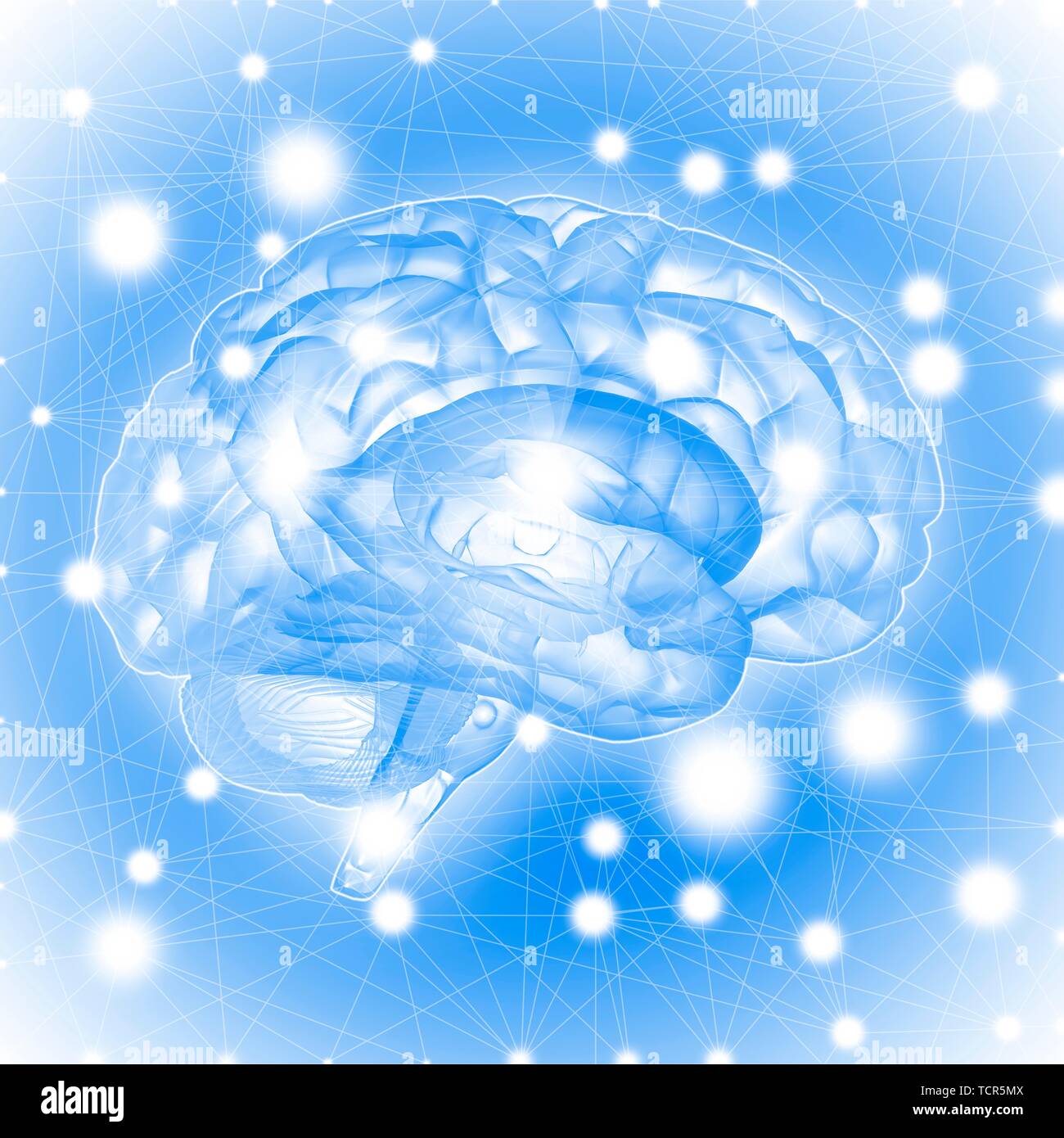 Human brain, illustration Stock Photo - Alamy