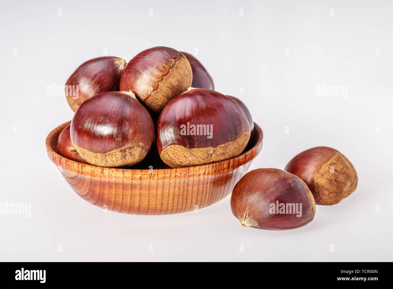 Chestnut horse anatomy hi-res stock photography and images - Alamy