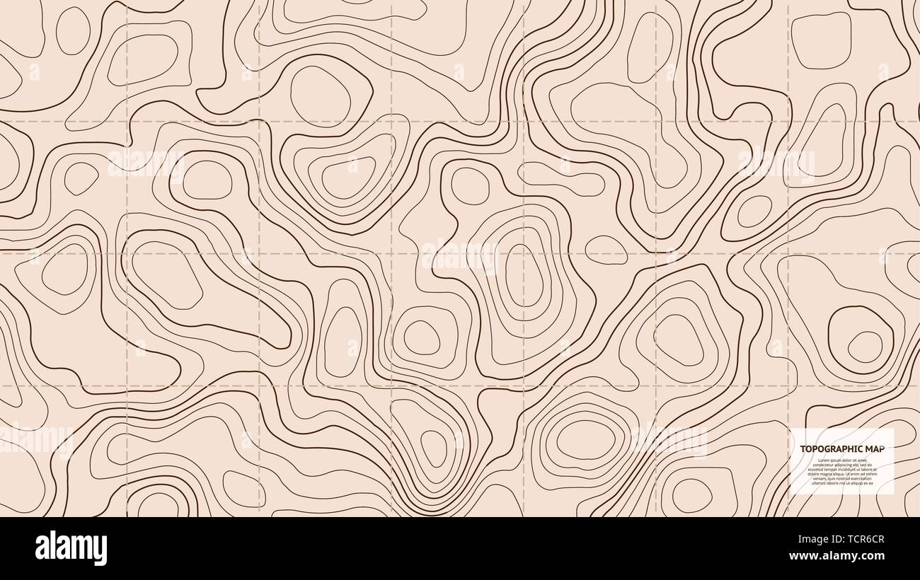 Topographic world map. Geographic contour grid Stock Vector Image & Art ...