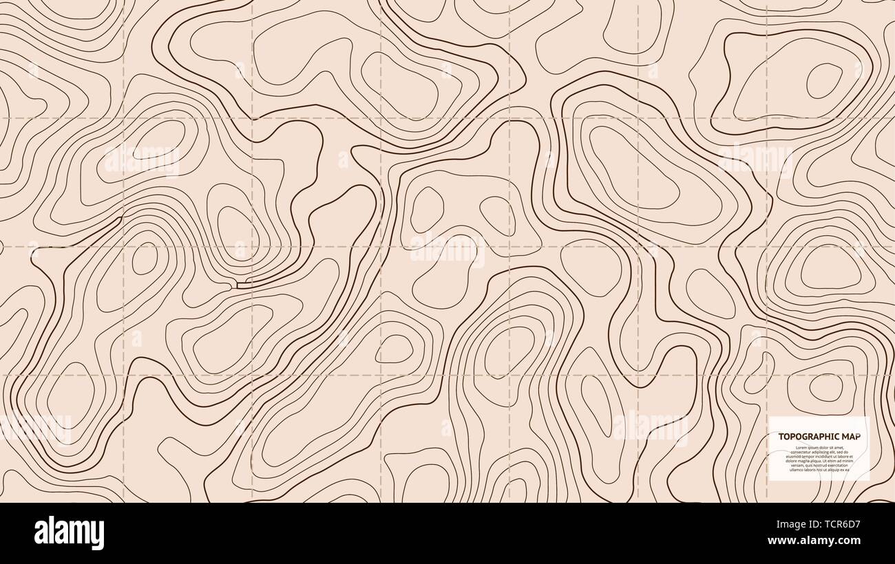 Topographic world map. Geographic contour grid Stock Vector Image & Art ...