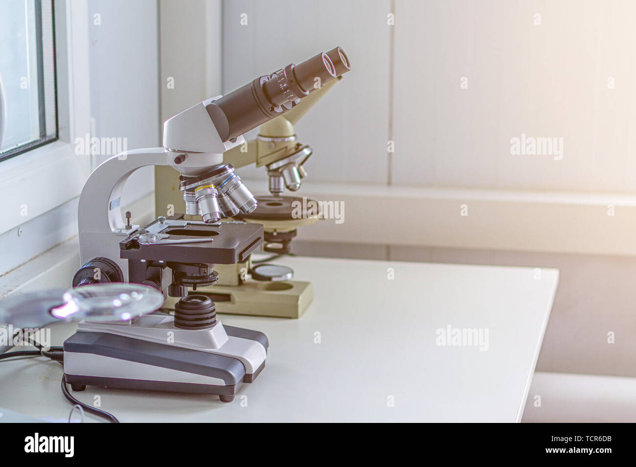 Hands with microscope in the laboratory to study viruses and microbes ...