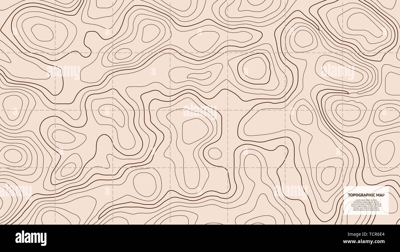 Topographic world map. Geographic contour grid Stock Vector Image & Art ...