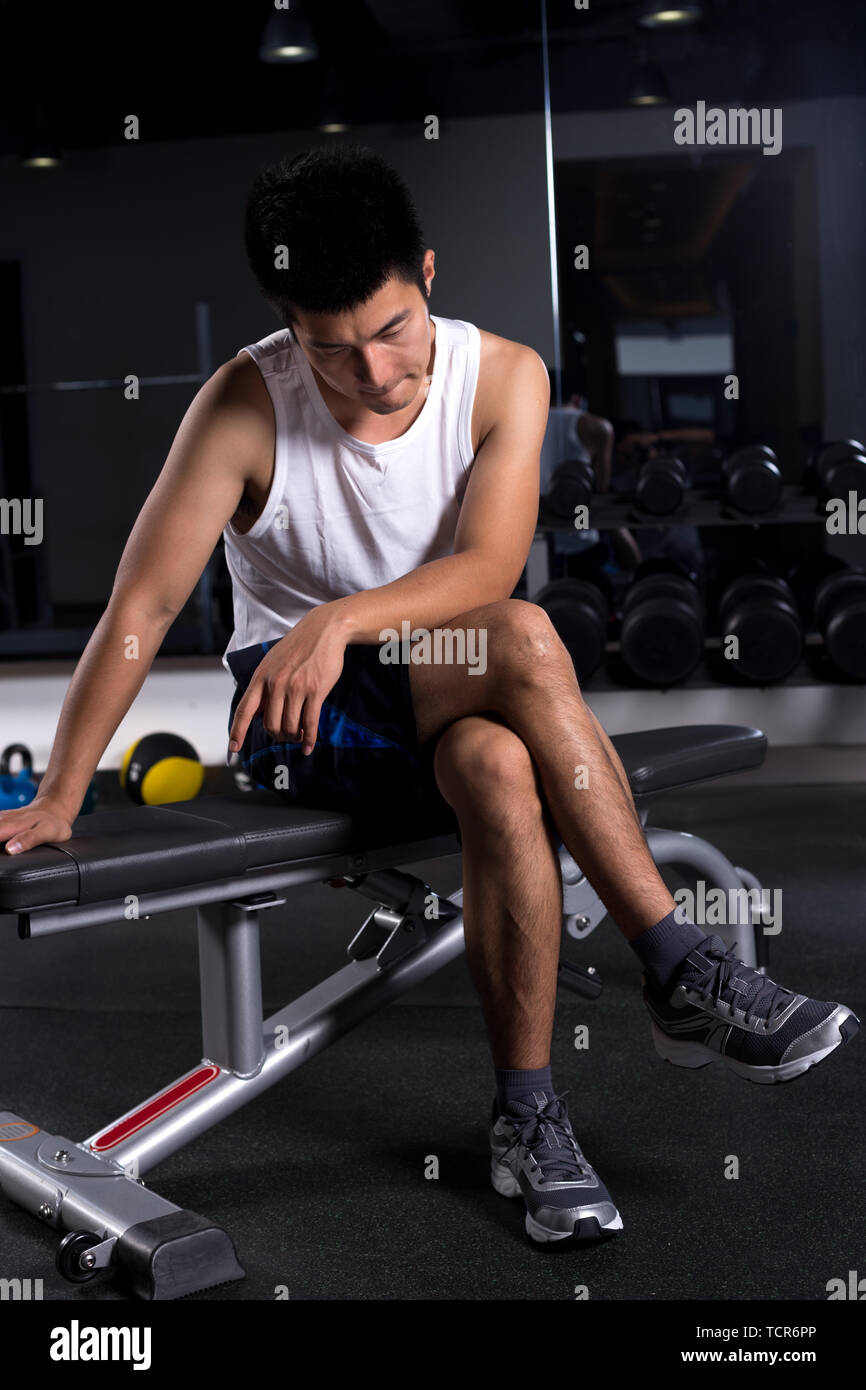 people working out in modern gym Stock Photo - Alamy