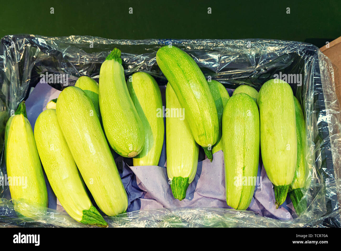 zucchini in the store on the counter in the store. at the food market ...