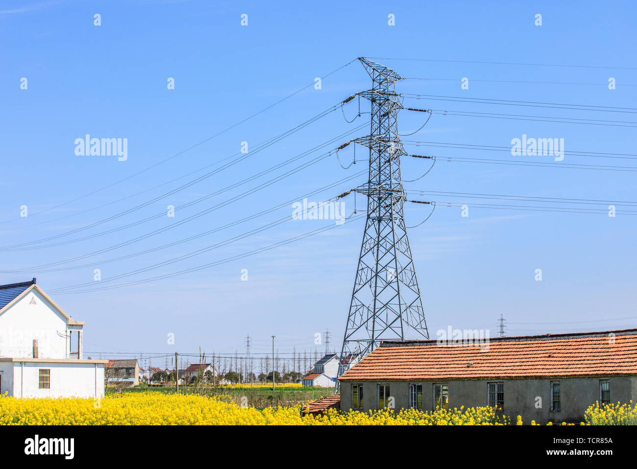 Farm houses and power grids Stock Photo - Alamy