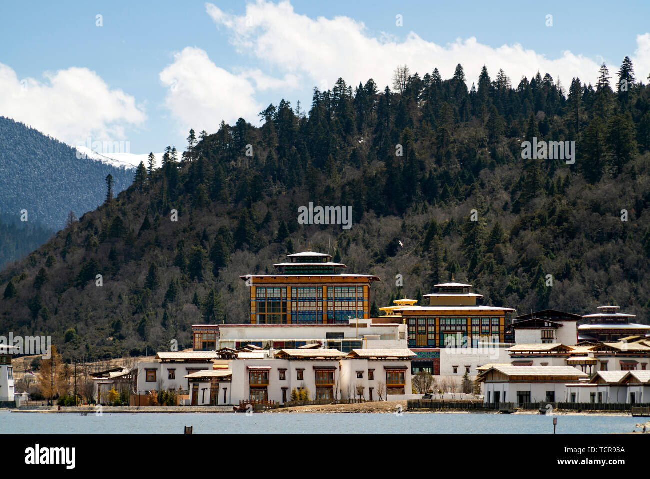 The lulang forest hi-res stock photography and images - Alamy