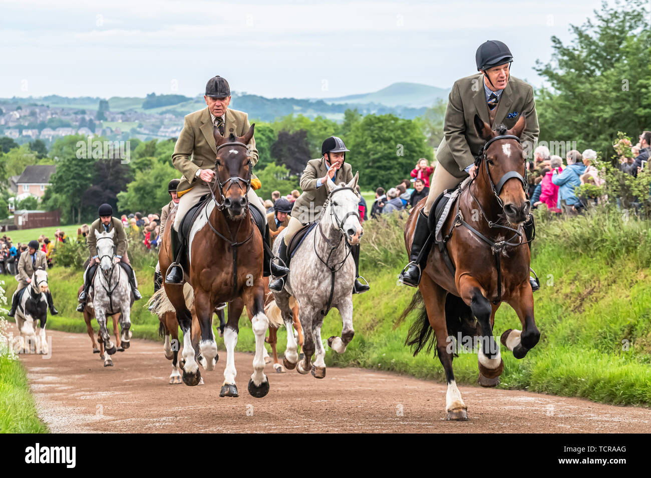 Horses Scottish Borders Flags High Resolution Stock Photography and ...