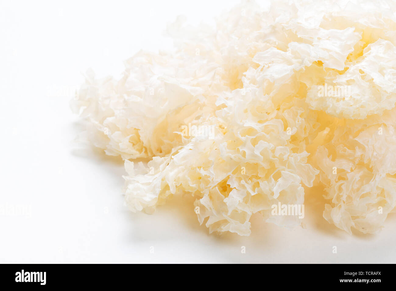 Silver ear fungus tremella fuciformis hi-res stock photography and ...